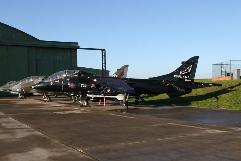 Tigger Models pre order for Telford - Vendors Board - Large Scale Planes