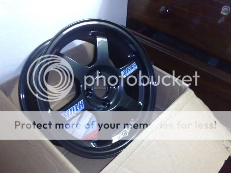 My Runx - Corolla / Corolla Sportivo Club - Toyota Owners Club - Australia