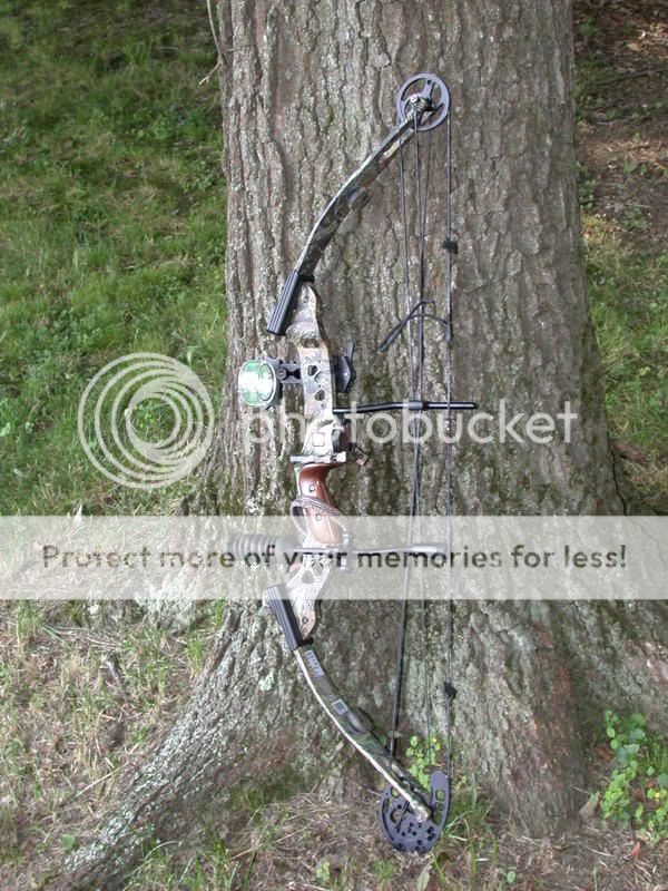 PSE owners how many? | Archery Talk Forum