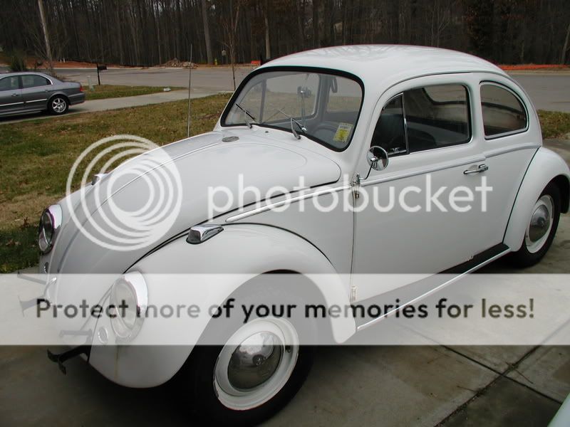 64 beetle for sale | VW Vortex - Volkswagen Forum