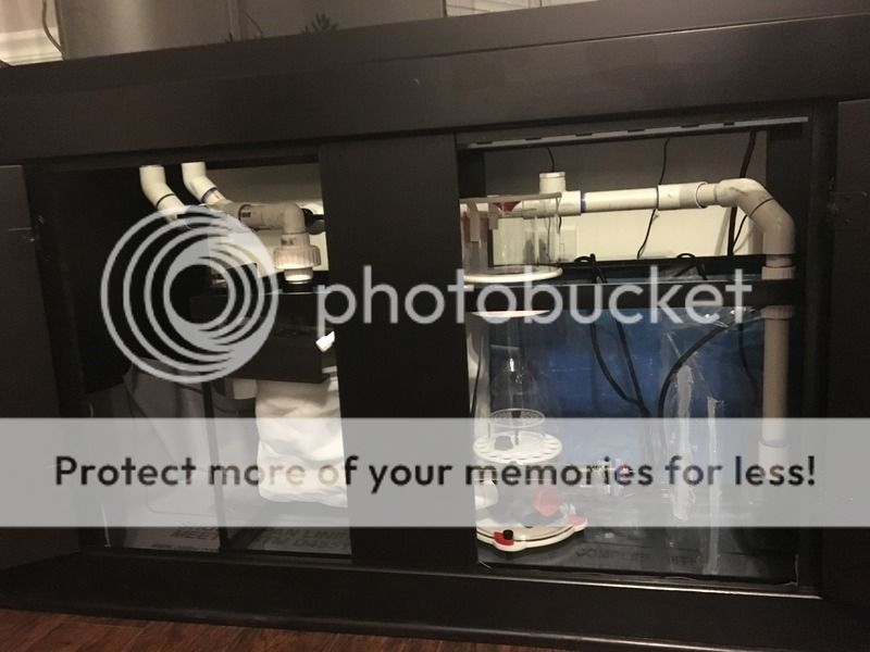 Build Thread - Brian's 90 gallon | Reef2Reef